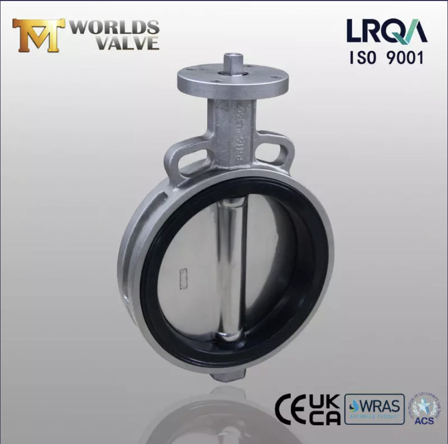 Do Lug Type Butterfly Valves Need Gaskets? - Tianjin Worlds Valve Co., Ltd.